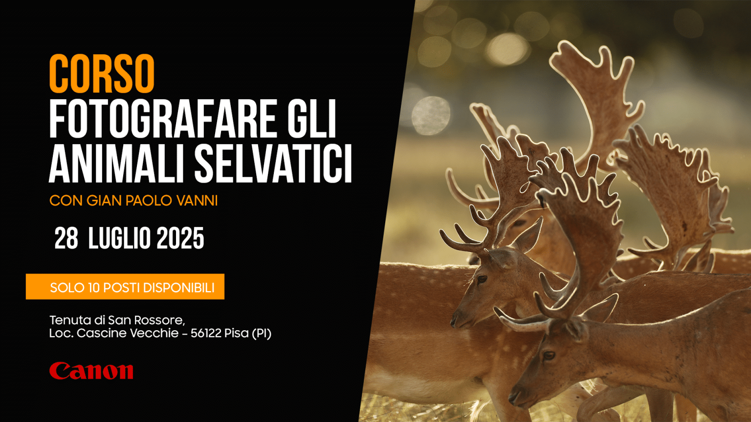 Ollo Store Blog: recensioni e news su Fotografia e Tecnologia